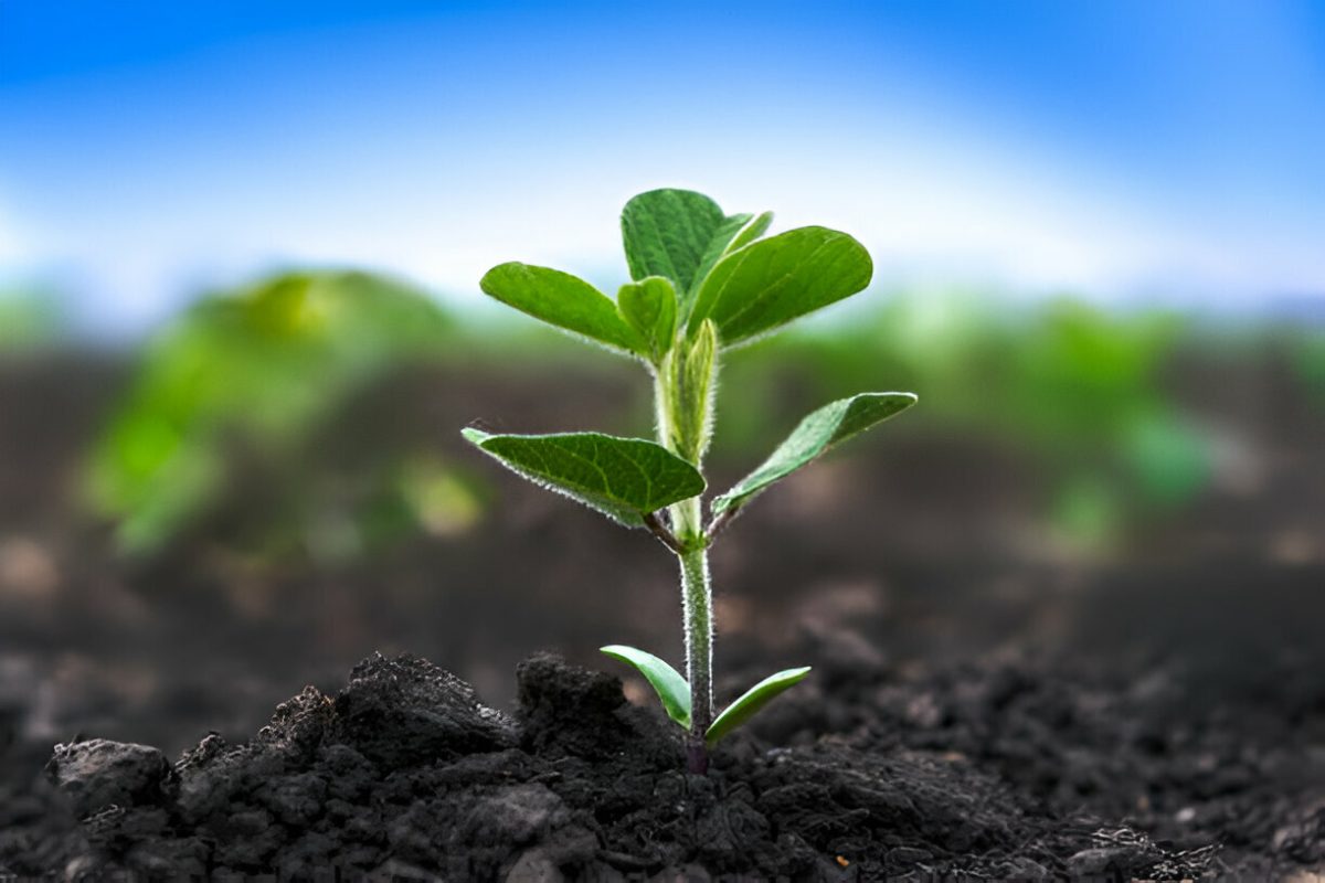 About us – Agrimatco